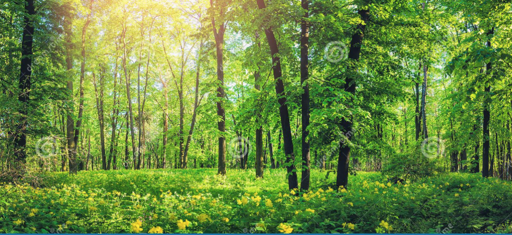 Earth Fatigue - Intelligent Energies